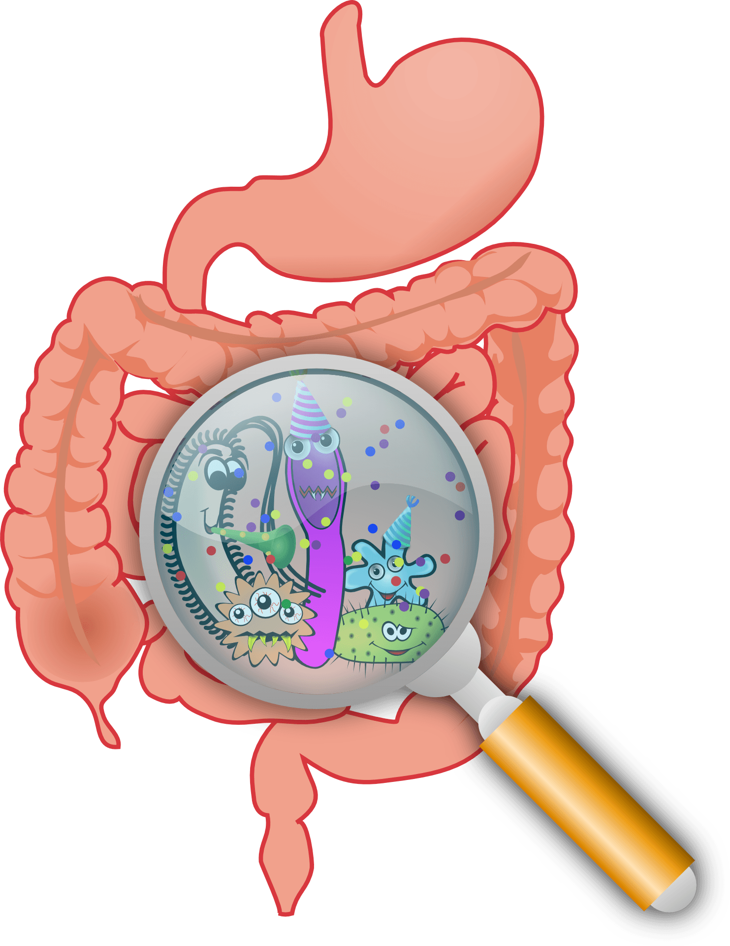 The Cause Of Autoimmune Diseases Are Unknown Part 5 Factastic Health The Cause Of Autoimmune Diseases Are Unknown Part 5 Factastic Health